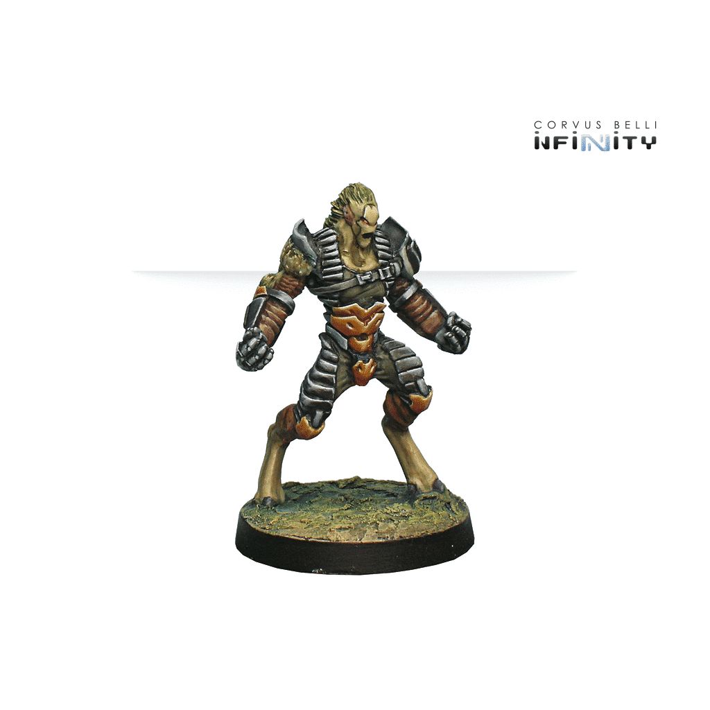 Tohaa: Support Pack - HOBBY MAX